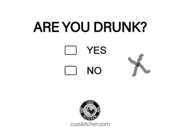 Deliciously Rude Cocktails (Funny Cocktails that Inspire for 2026 ...